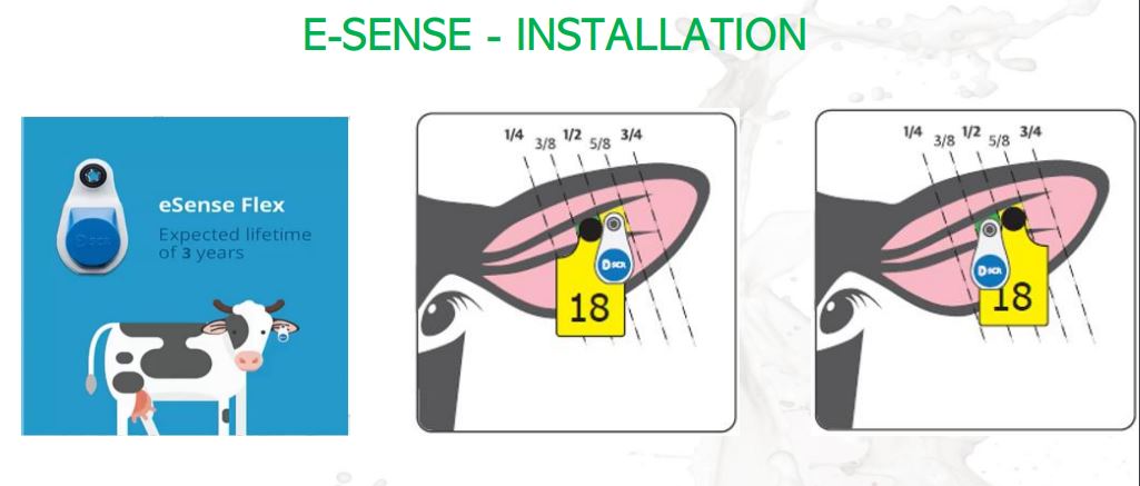 Cow Heat & Health Monitoring – Sefa, Sustainable Engineering and ...